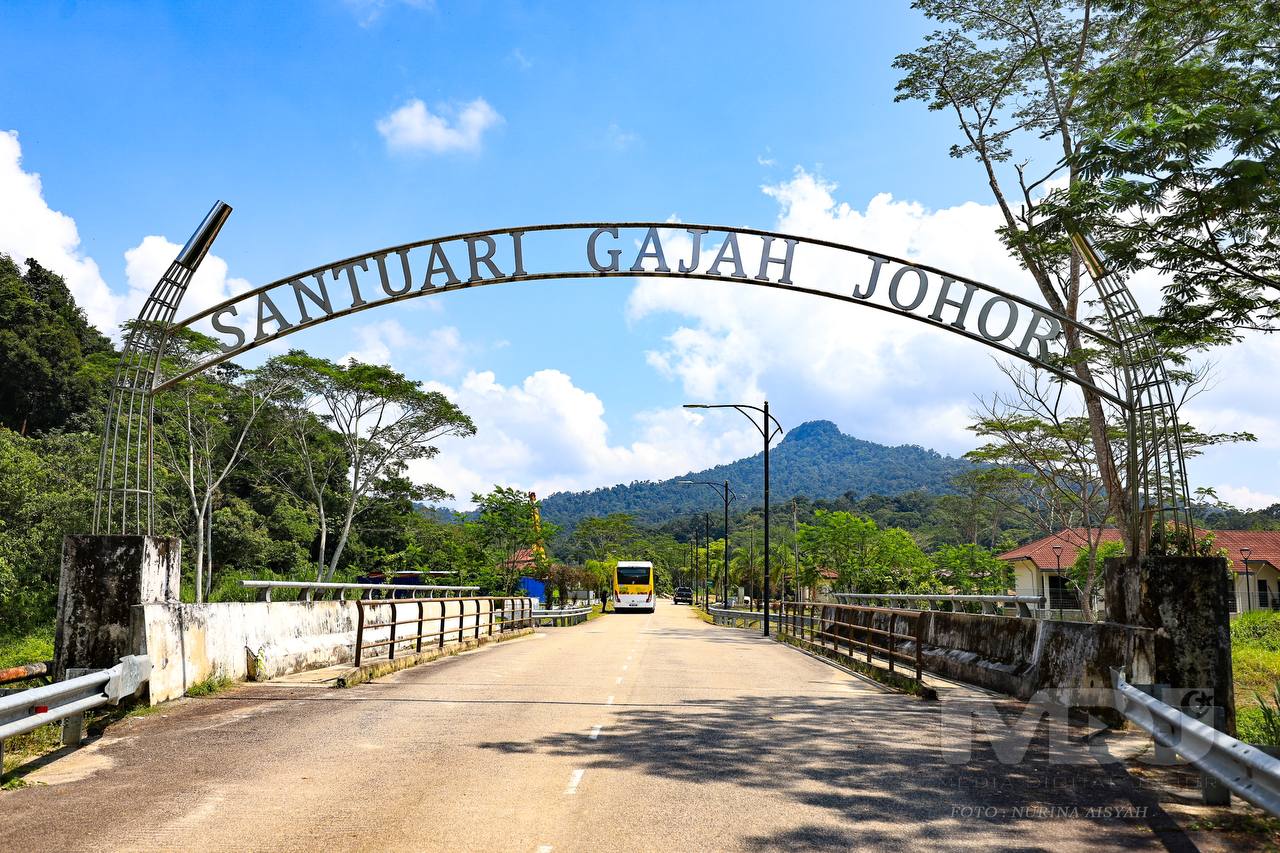 JES INTERVENSI KONFLIK GAJAH-MANUSIA - MEDIA DIGITAL JOHOR